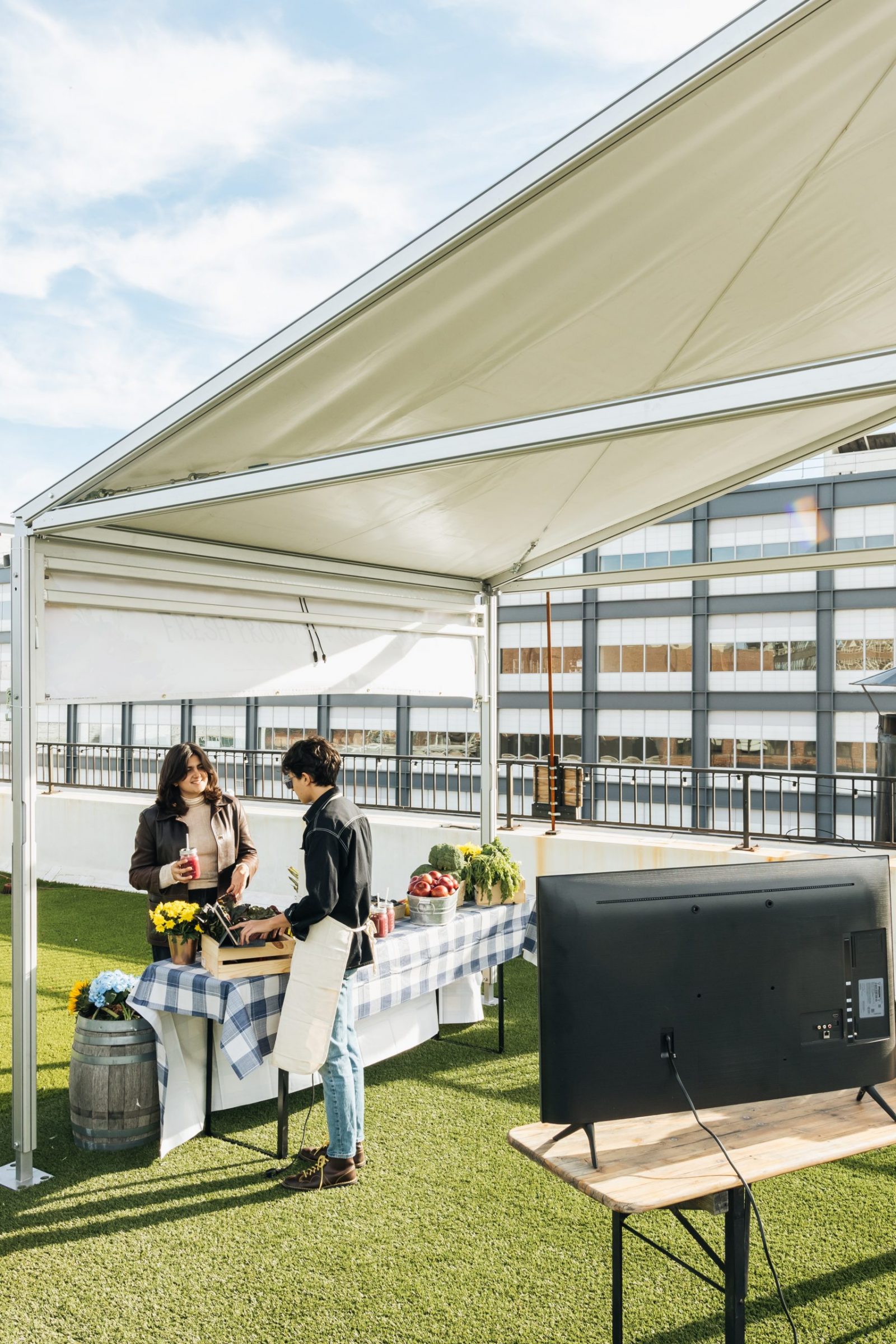 Lightweight Solar Canopy - pvilion