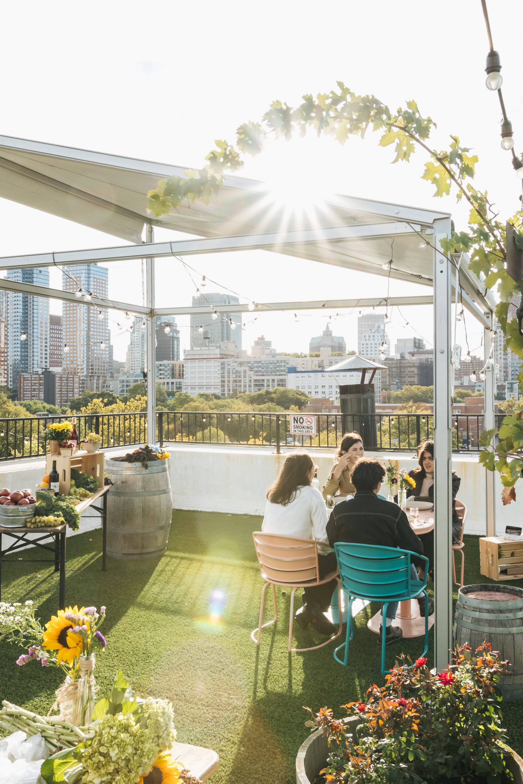 Lightweight Solar Canopy - pvilion